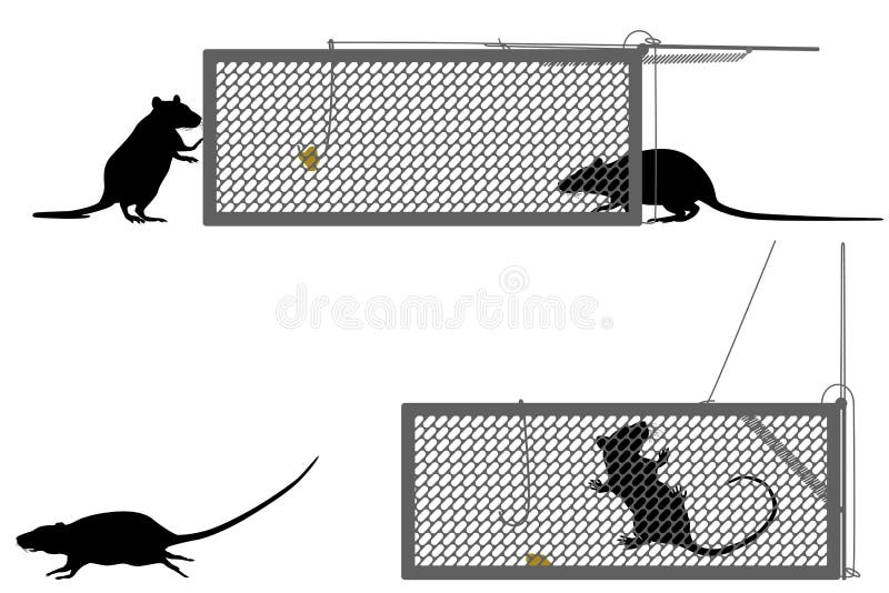 Humane rat trap stock vector. Illustration of vector - 30879997