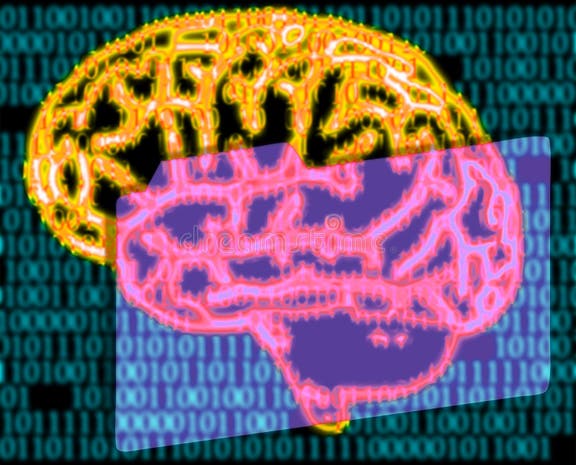 Humans Brain and Binary Code Stock Illustration - Illustration of ...