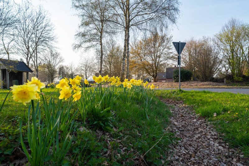 Humans from Hay Bales Stand at the Roadside Stock Image - Image of ...