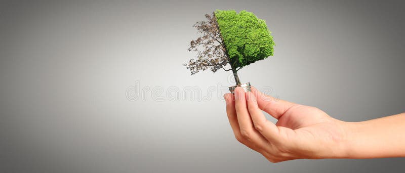 Humans Hold Light Bulbs in Hand Innovative Technology Stock Image ...