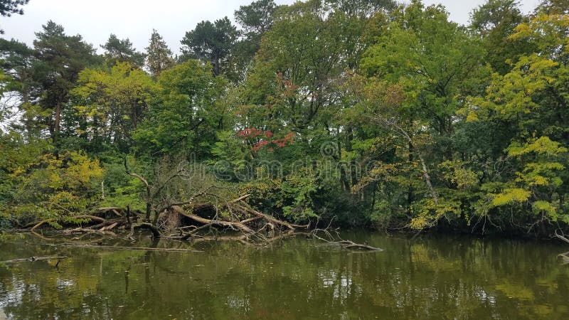 Humber River in Fall Season Stock Photo - Image of harbor, toronto ...
