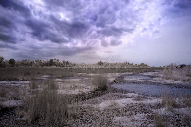 Paisaje De Humedal Infrarrojo Imagen de archivo - Imagen de oscuro ...