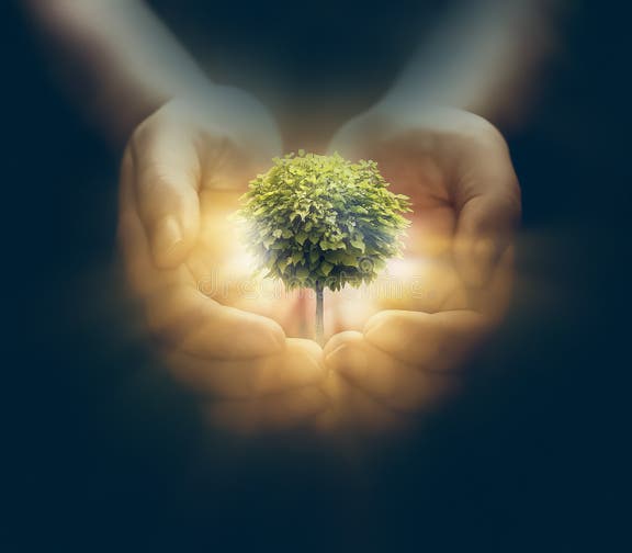 HumEnvironment Concept Image Stock Image - Image of hold, care: 244725923