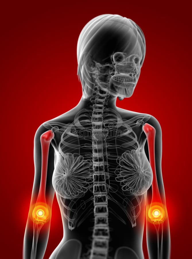 3d Rendered Illustration of Humerus Bone Stock Illustration ...