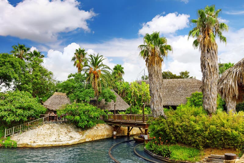 Humid tropical jungle. stock image. Image of indigene - 47904477