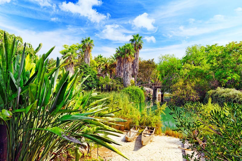 Humid tropical jungle. stock photo. Image of landmark - 47904578