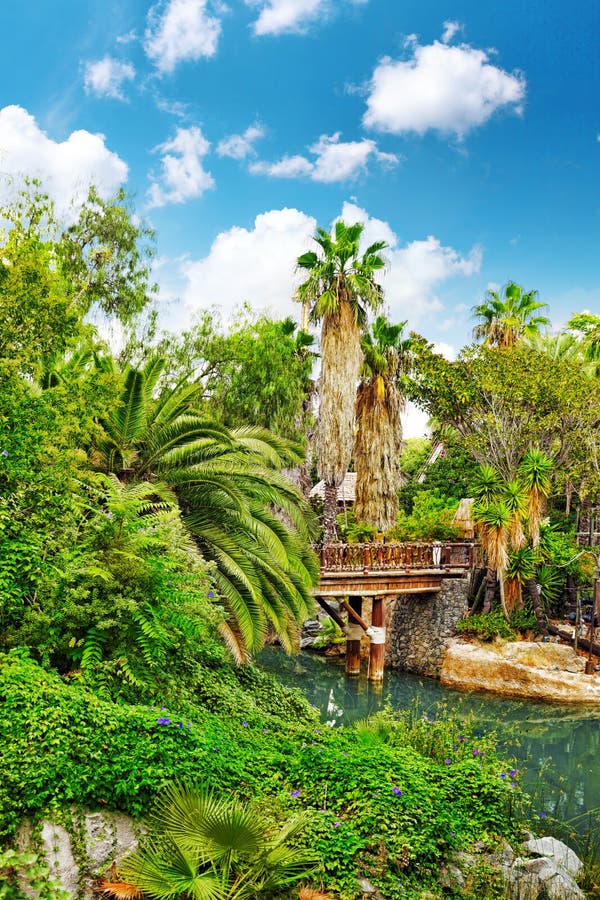 Beautiful Landscape Humid Tropical Jungle Stock Photos - Download 1,039 ...