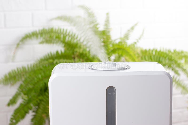 Humidifier in the House. Moisturizing Stock Photo - Image of healthcare ...