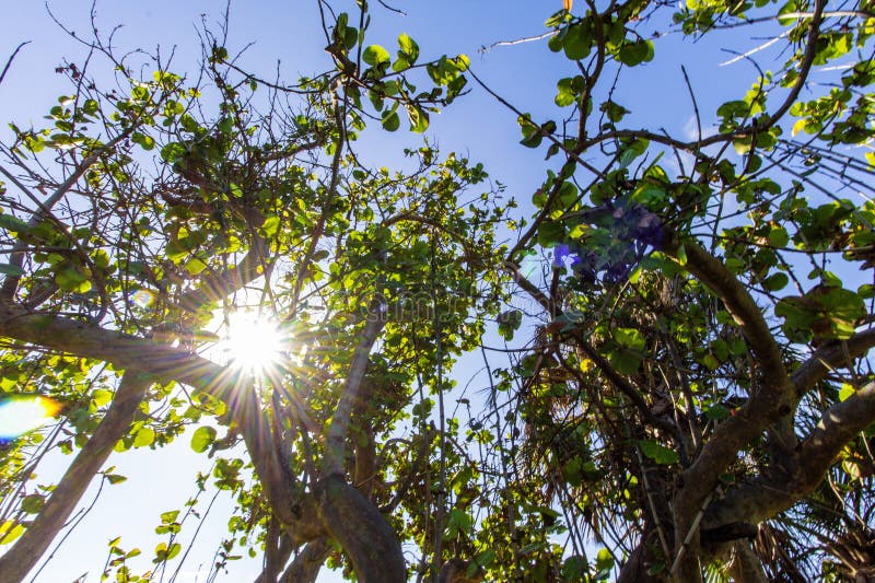 Humiston Beach Park Stock Photos - Free & Royalty-Free Stock Photos ...