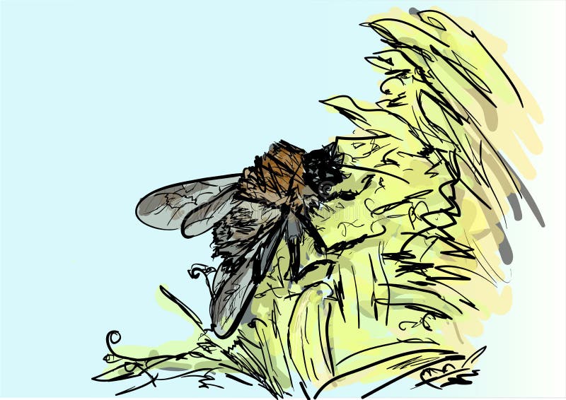 Humla Stock Illustrationer, Vektorer, & Clipart – (12,128 Stock ...