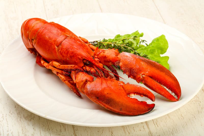 Hummer stockbild. Bild von feinschmecker, greifer, küche - 112198021