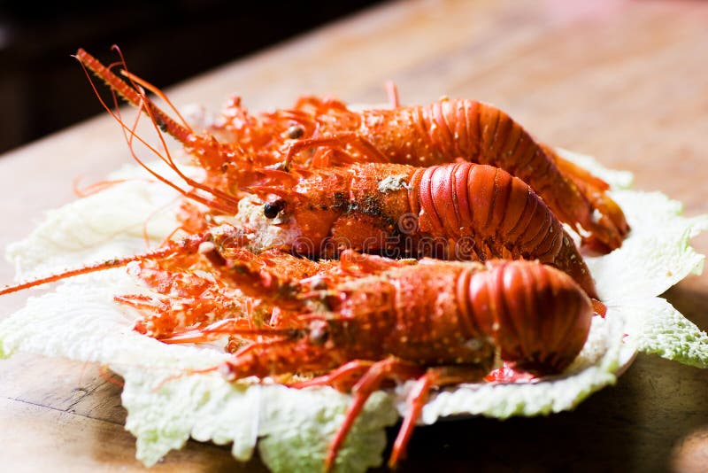 Hummer stockbild. Bild von mittagessen, speisen, delikatessen - 13161365