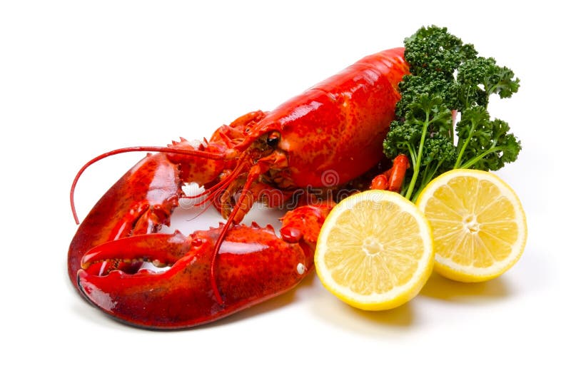 Hummer stockbild. Bild von meeresfrüchte, abendessen - 24224509