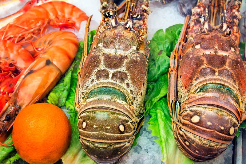 Krebse, Hummer gekocht stockfoto. Bild von thema, hummer - 56795552