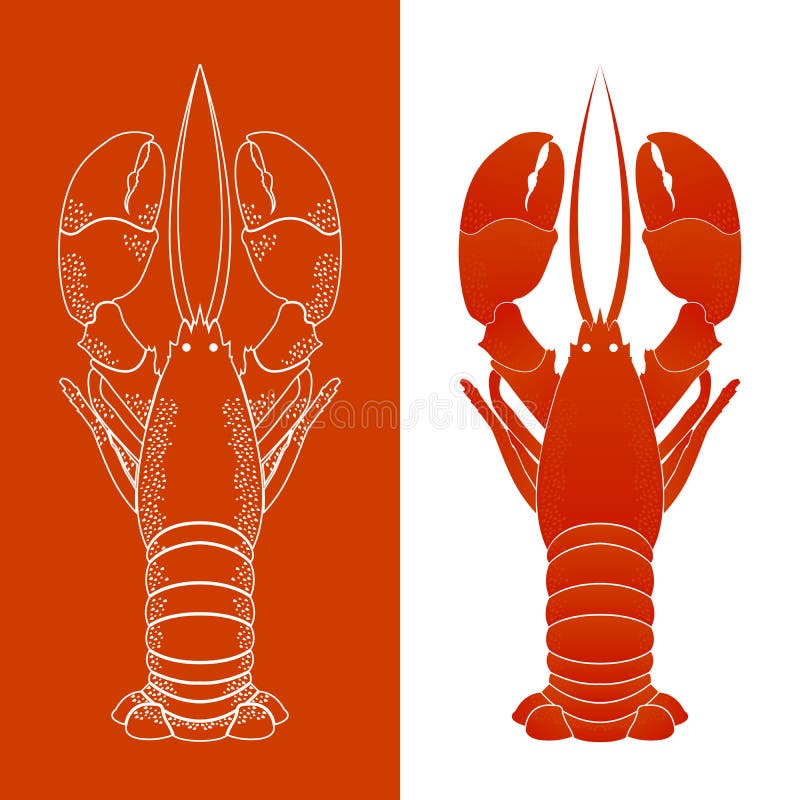 Hummer-Vektor vektor abbildung. Illustration von tier - 79618605