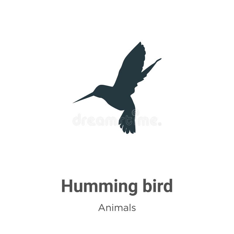 Humming Bird Outline Vector Icon. Thin Line Black Humming Bird Icon ...