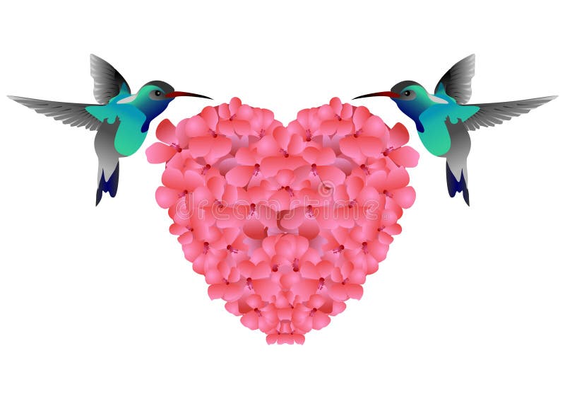 Hummingbird Heart Stock Illustrations – 463 Hummingbird Heart Stock ...
