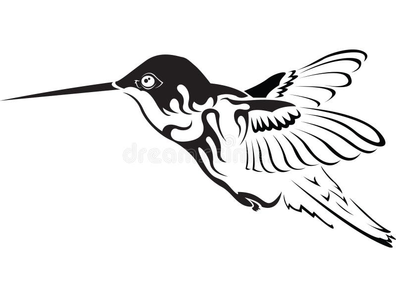 Cartoon Hummingbird Tattoo