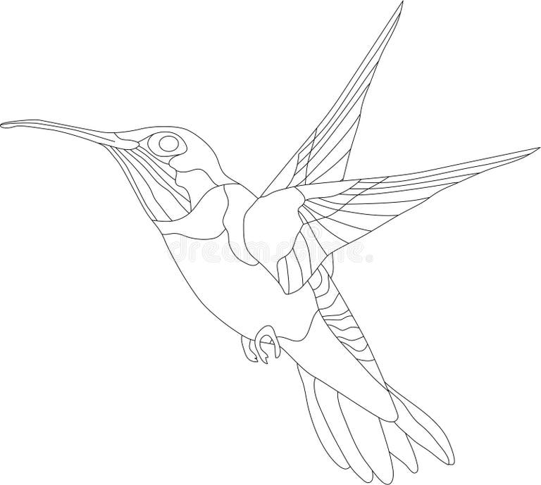 Hummingbird Pattern Outline Stock Illustrations – 913 Hummingbird ...
