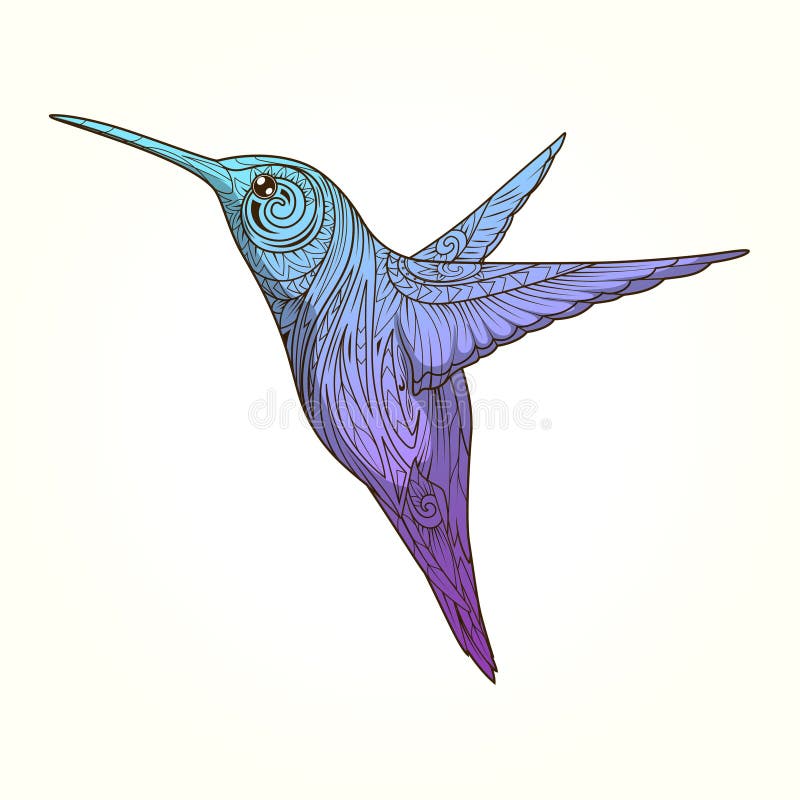 Hummingbird with Abstract Ornament Vector Stock Vector - Illustration ...