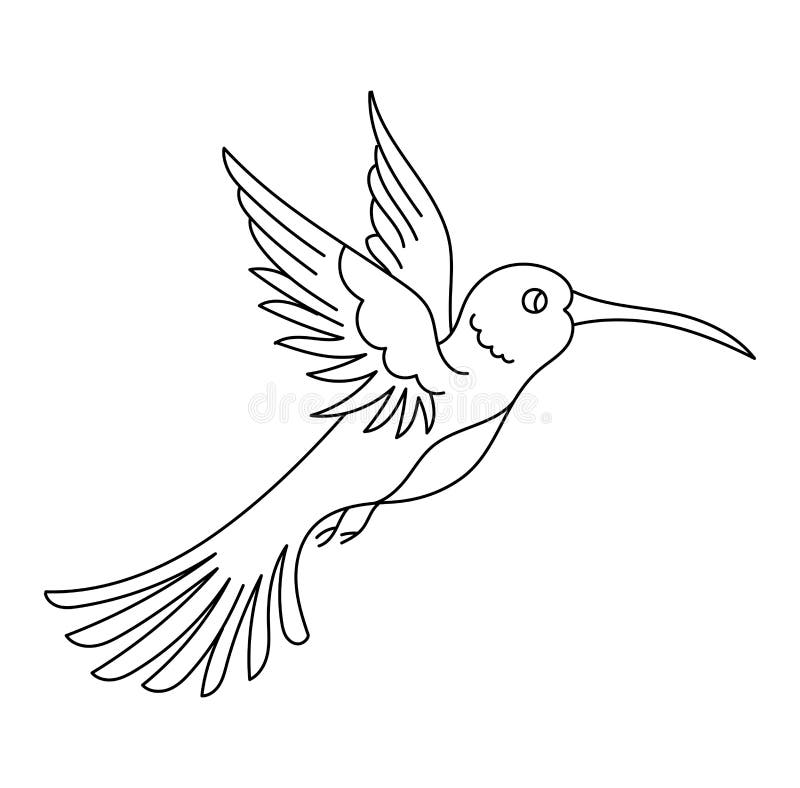 Hummingbird Bird. Editable Outline Stroke. Vector Line Illustration ...