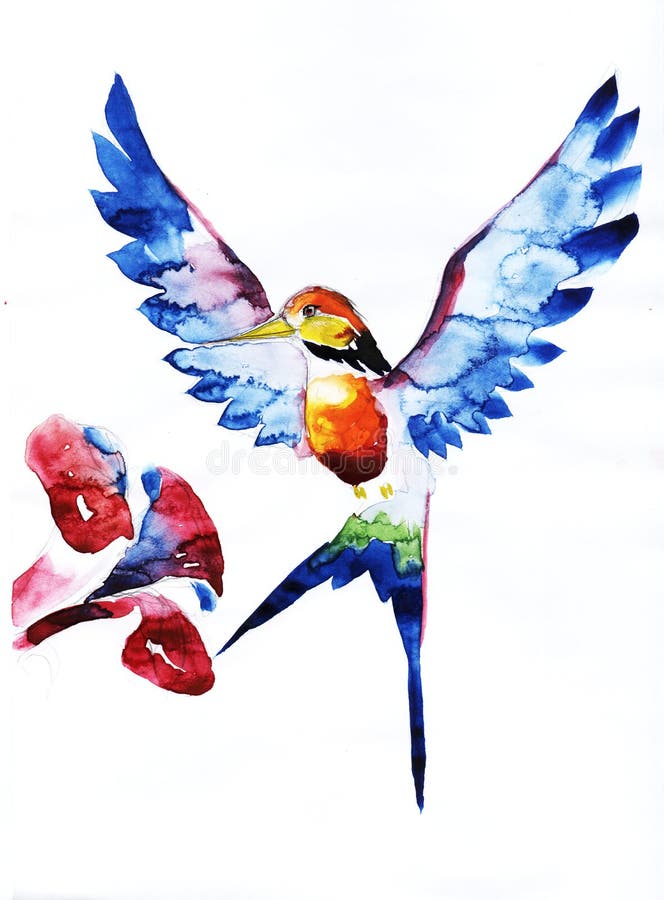 Hummingbird Bird Icon Graphic, Icon, Watercolor Drawing, Line, P Stock ...