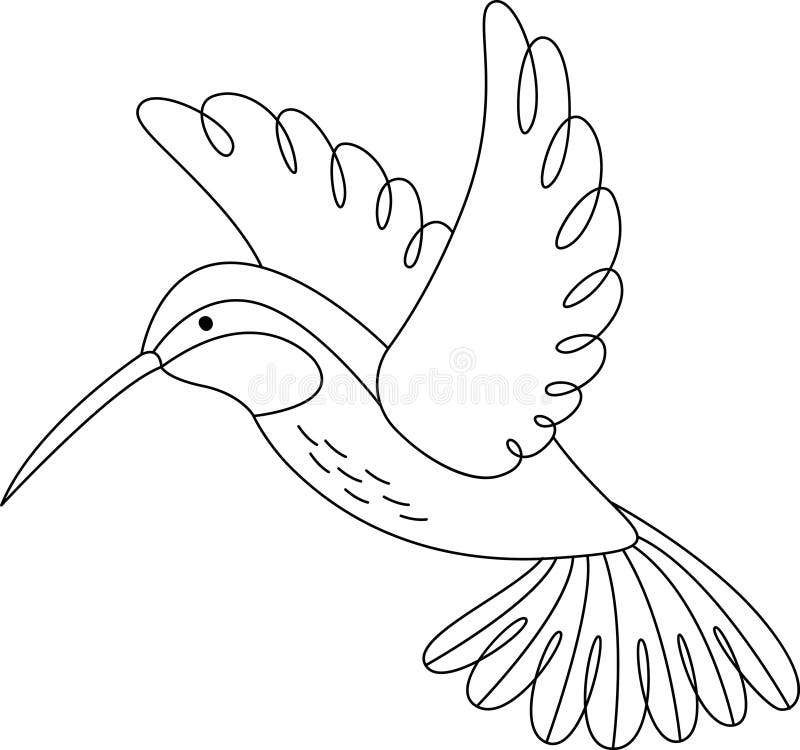Hummingbird Bird Outline stock vector. Illustration of design - 303270439