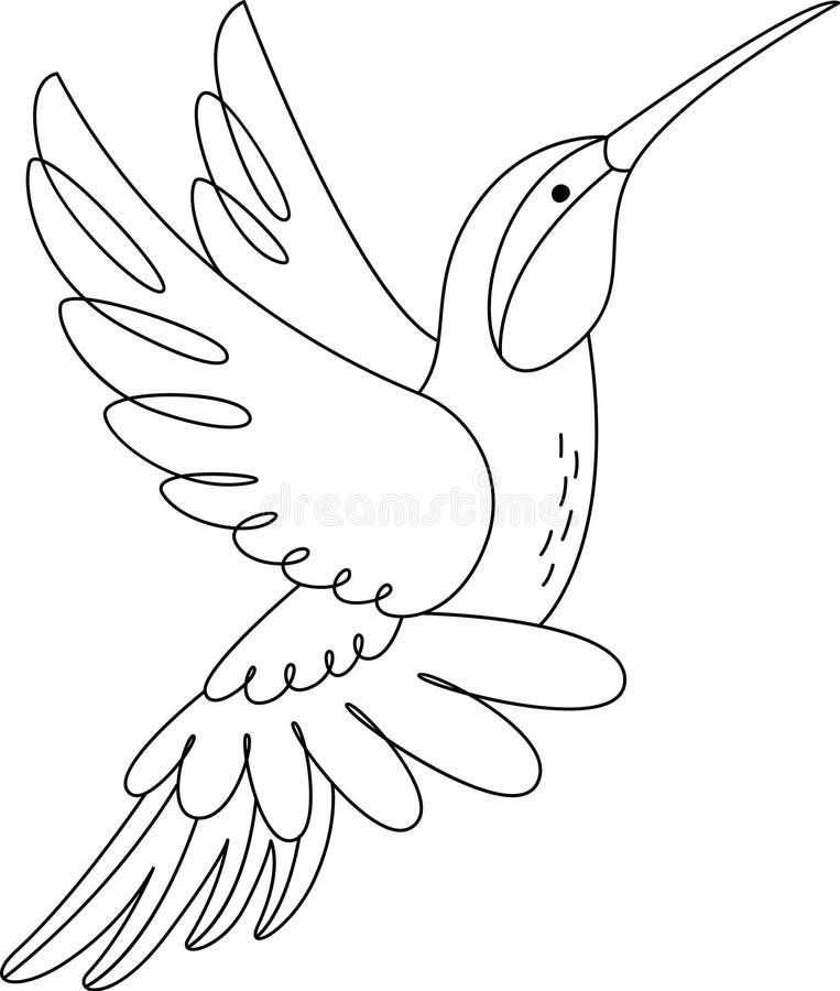 Hummingbird Bird Outline stock vector. Illustration of drawing - 303271019