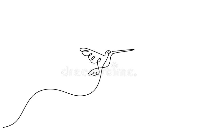 Continuous Line Drawing Hummingbird Stock Illustrations 263