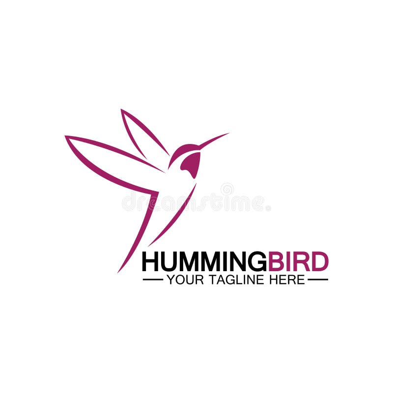 Hummingbird Logo Design Vector Template Stock Vector - Illustration of ...