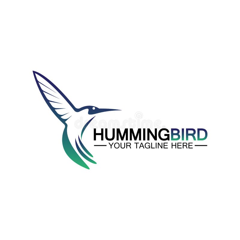 Hummingbird Logo Design Vector Template Stock Vector - Illustration of ...