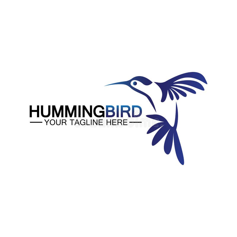 Hummingbird Logo Design Vector Template Stock Vector - Illustration of ...
