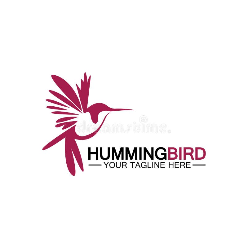 Hummingbird Logo Design Vector Template Stock Vector - Illustration of ...