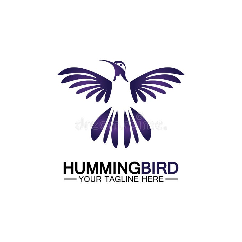 Hummingbird Logo Design Vector Template Stock Vector - Illustration of ...