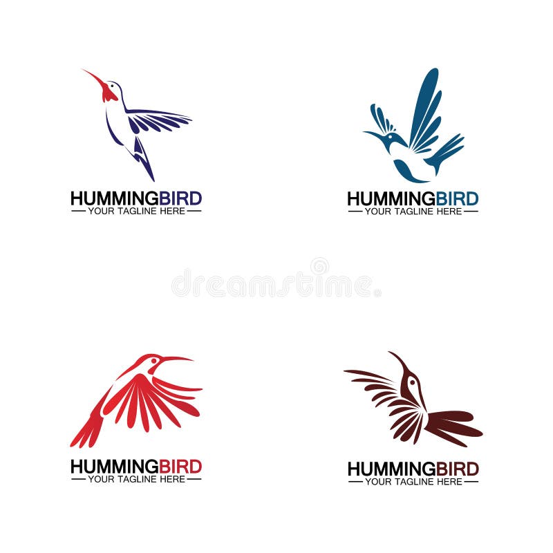 Hummingbird Logo Design Vector Template Stock Illustration ...
