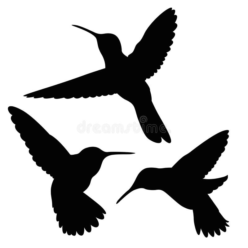 Hummingbird stock vector. Illustration of nectar, isolated - 11106169