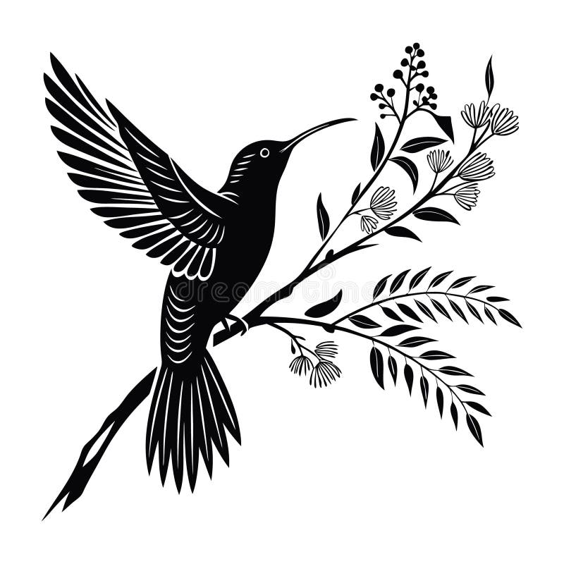 Hummingbird silhouette stock vector. Illustration of wing - 352741033