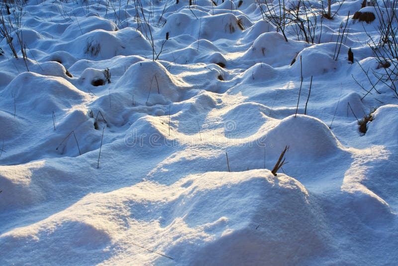 Swamp with hummocks stock image. Image of landscape, closeup - 30901021