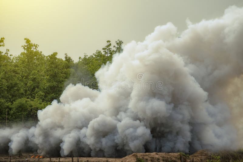 Humo Denso De Un Gran Incendio Imagen de archivo - Imagen de negro ...