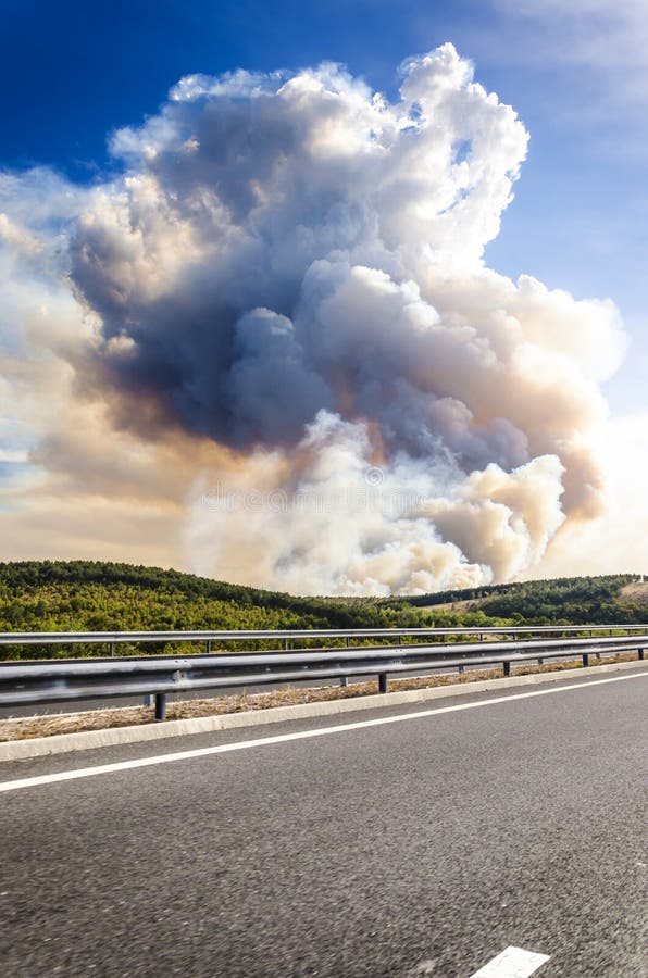 Humo del fuego de Forrest imagen de archivo. Imagen de fuego - 27295203