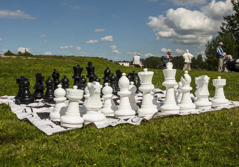 Humorous competition. stock image. Image of games, grass - 66259867