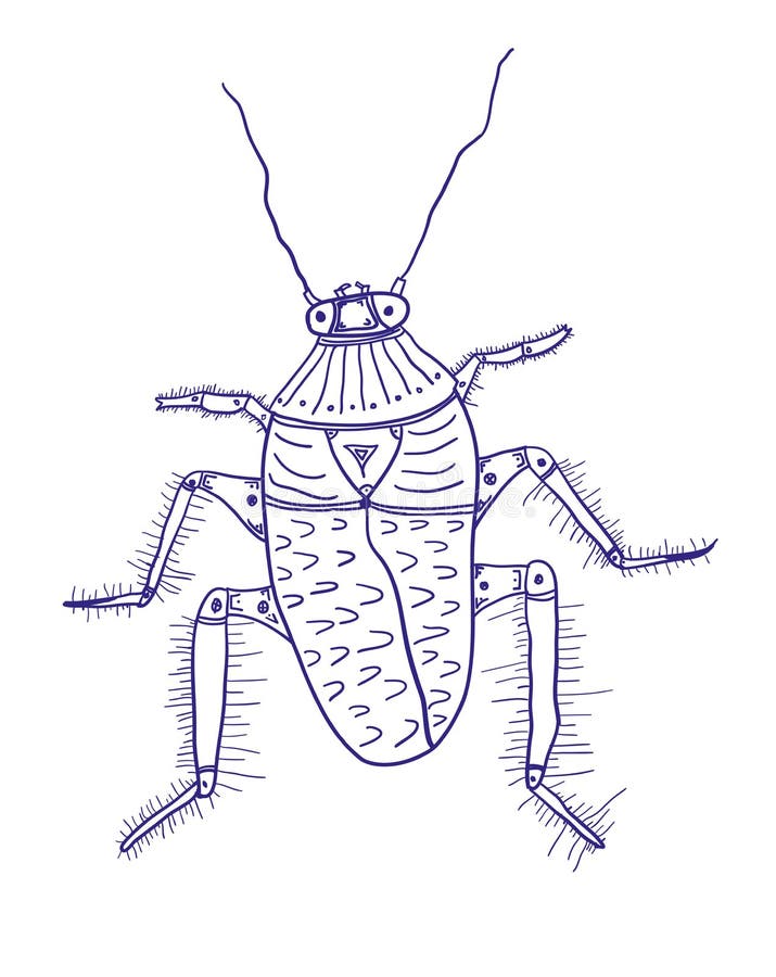 Humorous Insect. German Cockroach Stock Illustration - Illustration of ...