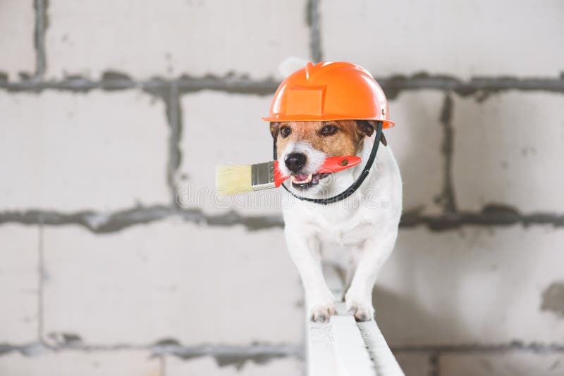 Humorous Skillful and Deft Builder in Hard Hat with Paint Brush at ...