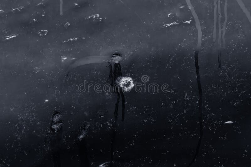 Humpback whale skin stock image. Image of marine, whale - 87824435