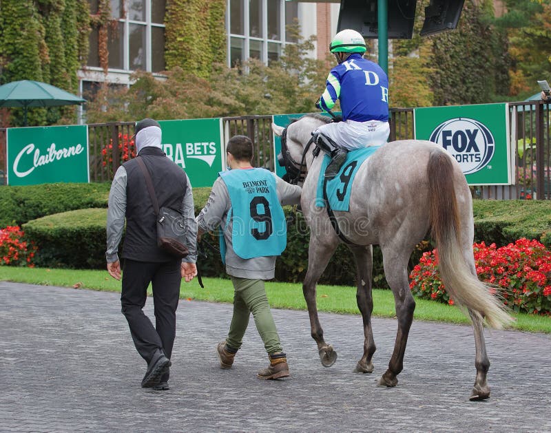 Exaggerator Stock Photos - Free & Royalty-Free Stock Photos from Dreamstime