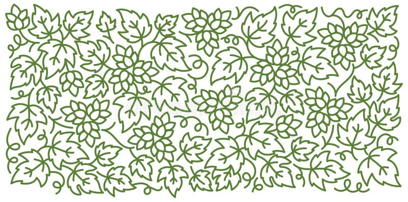 Humulus, Hop Floral Ornament. Thick Line Pattern Background. Editable ...
