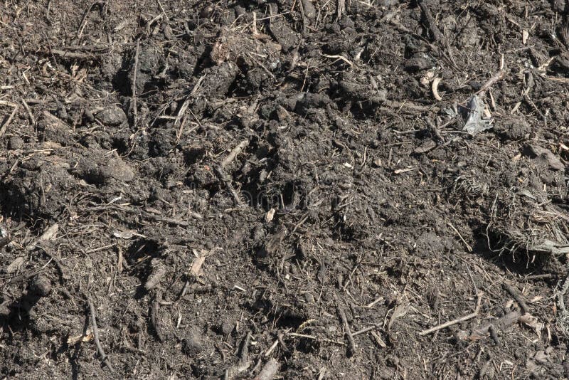 Humus on a Field in Agriculture Stock Image - Image of crops, condition ...
