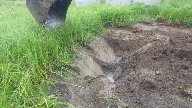 Humus on a Field in Agriculture Stock Image - Image of agribusiness ...