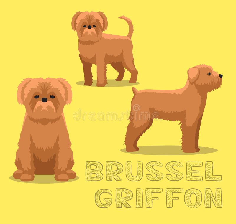 Hund Brussel Griffon Cartoon Vector Illustration Vektor Illustrationer ...