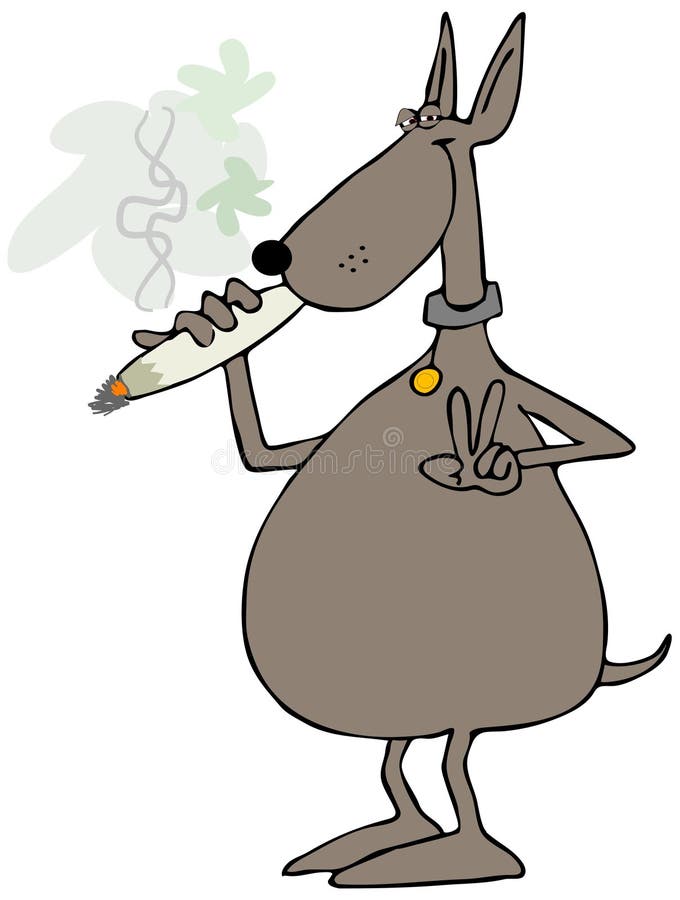 Hund, Der Ein Gelenk Raucht Stock Abbildung - Illustration von hund ...